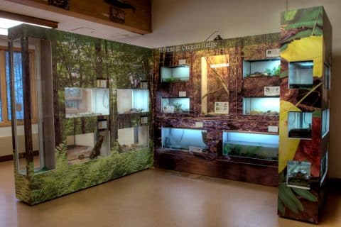Visitor Center Displays Ways to Immerse Guests | Adler Display