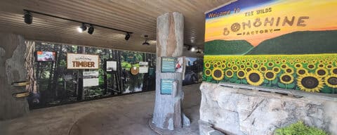 6 Principles for a Captivating Visitor Center Exhibit | Adler Display