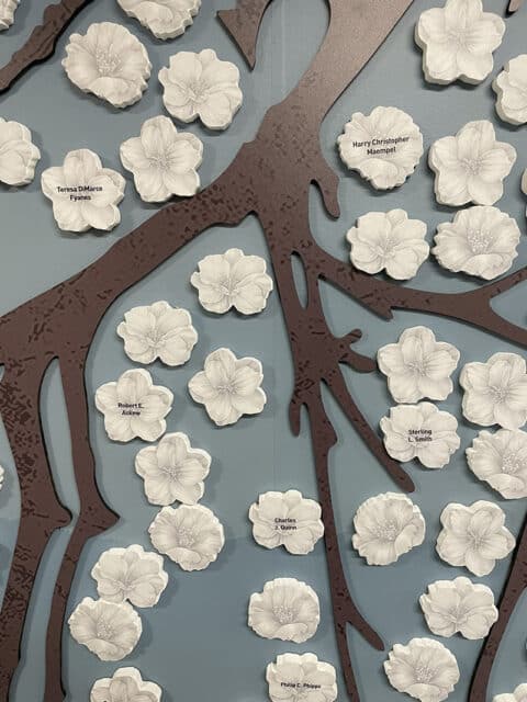 Project Spotlight Carroll Hospital | Adler Display